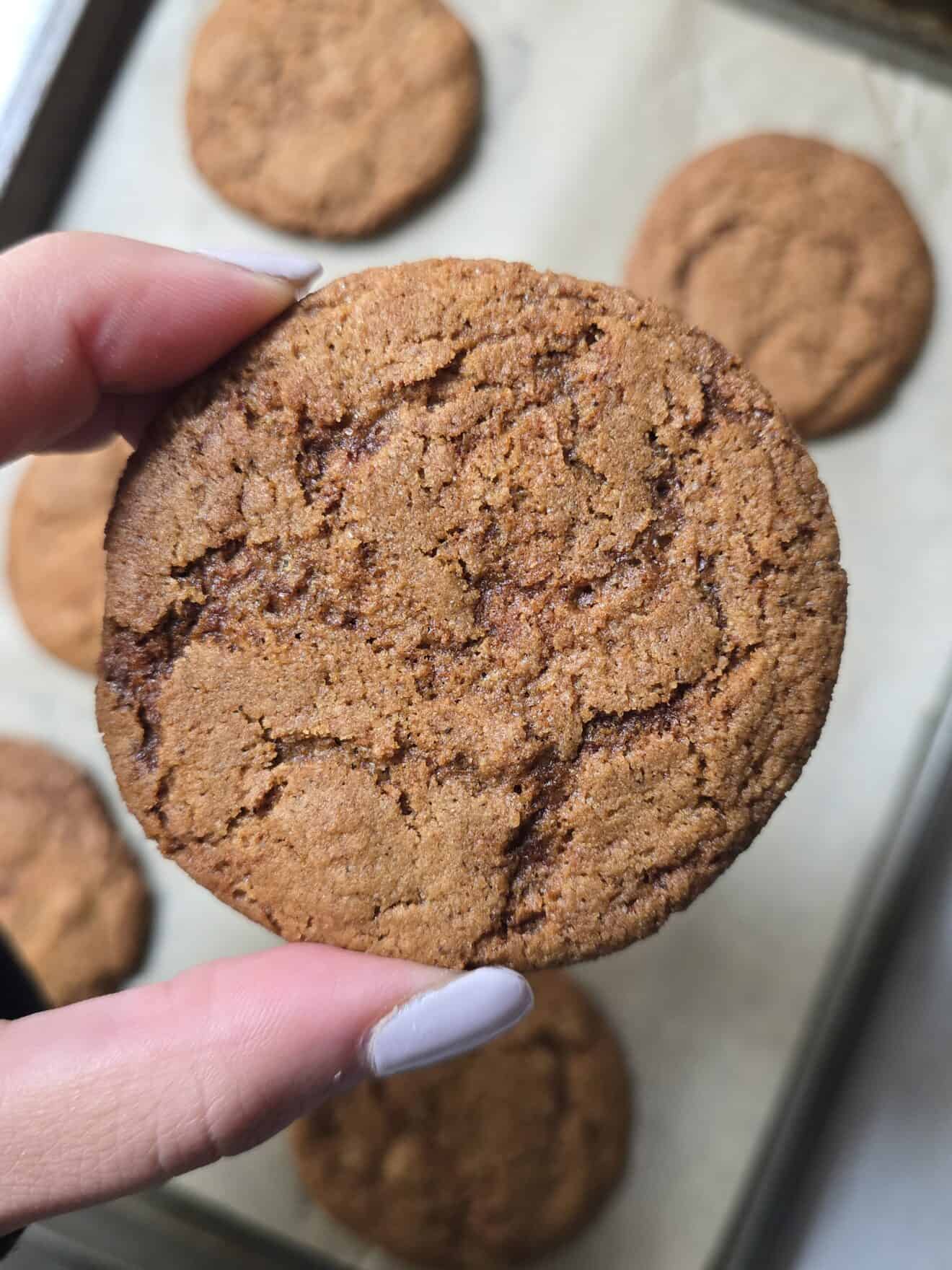 Gluten Free Spiced Wafer Cookies (Copycat Sweetzels & Ivins Recipe ...